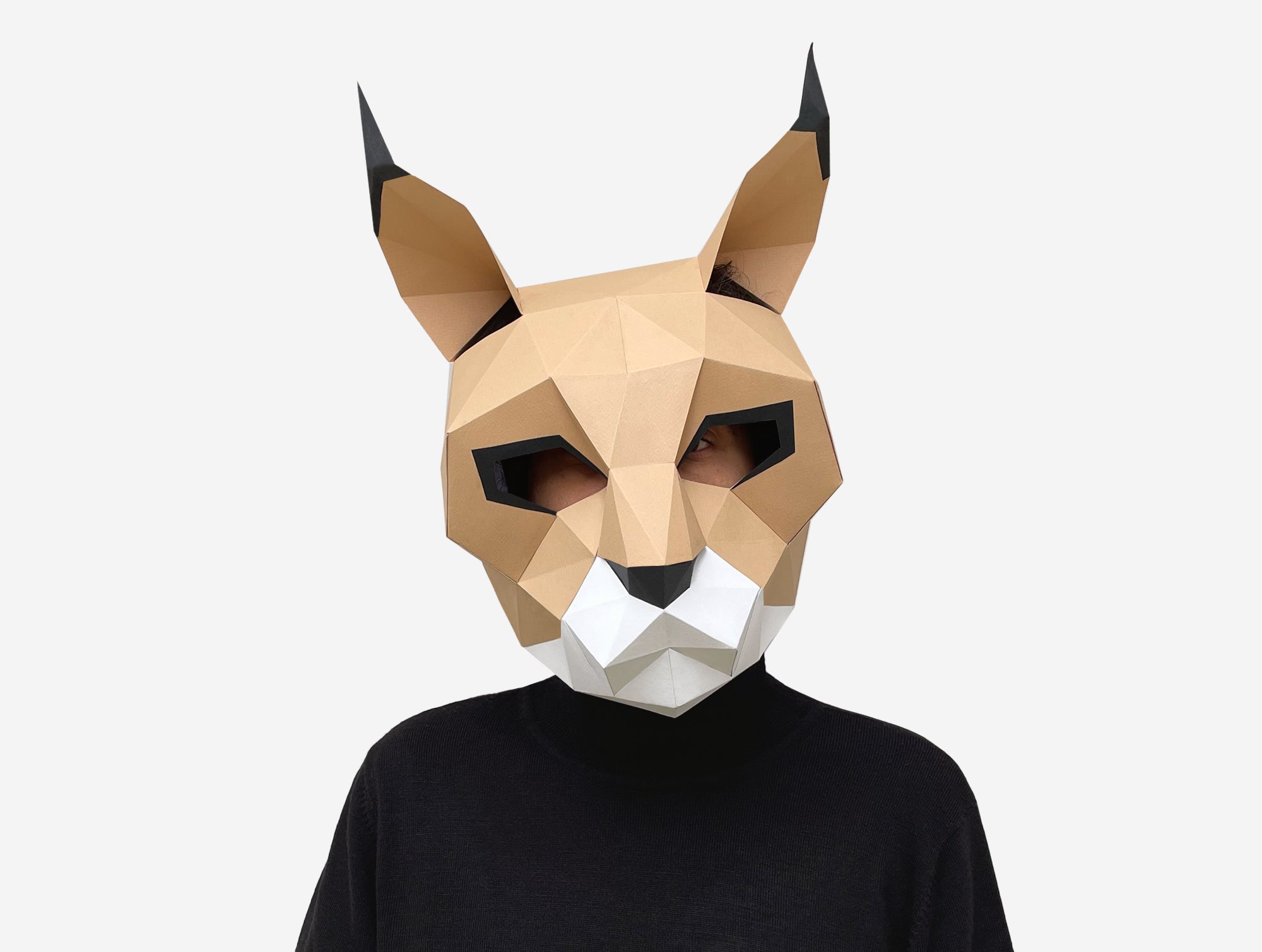 Wild Cat Mask DIY Paper Mask Template | Lapa Studios