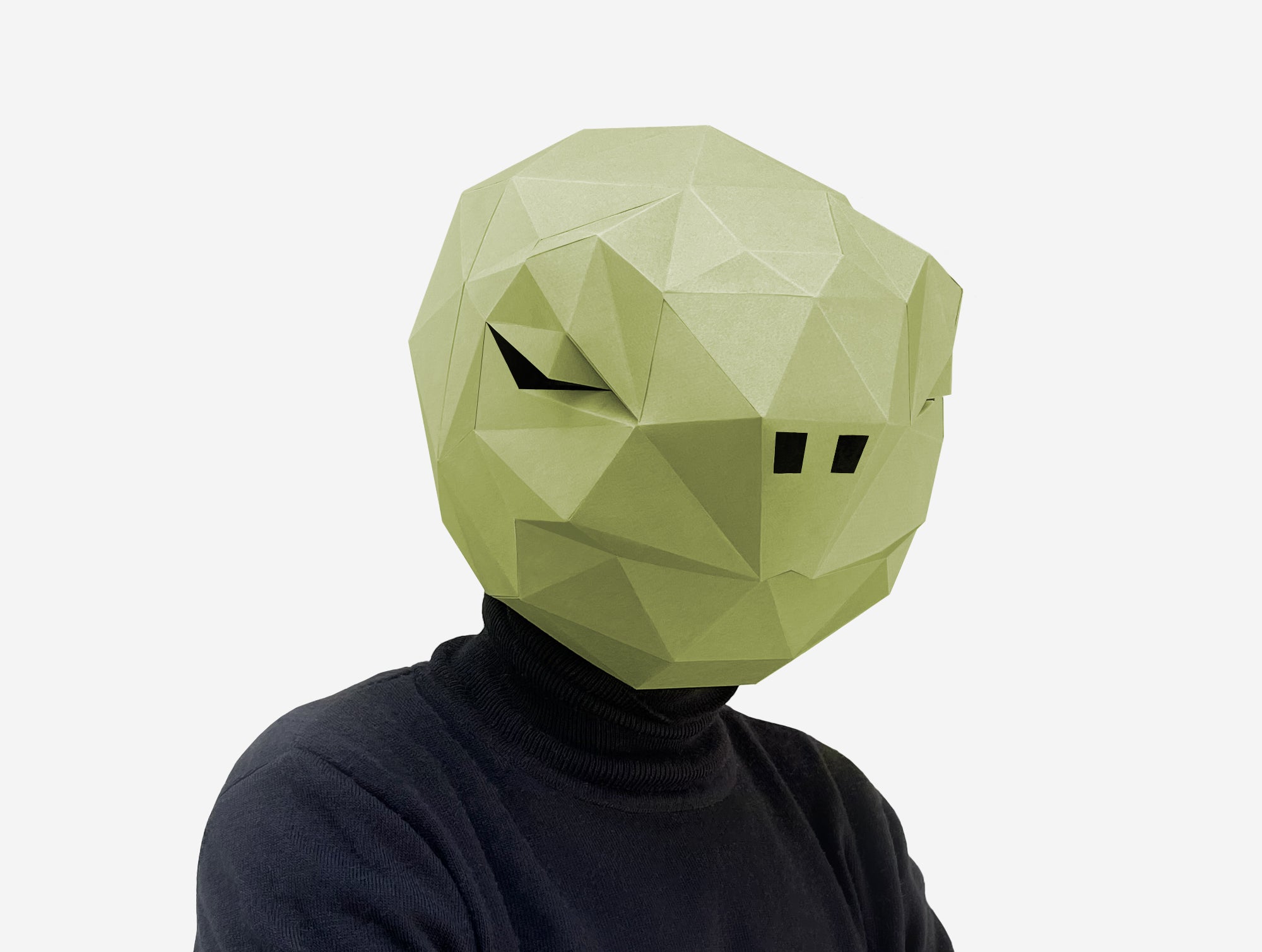 Turtle Mask DIY Paper Mask Template | Lapa Studios