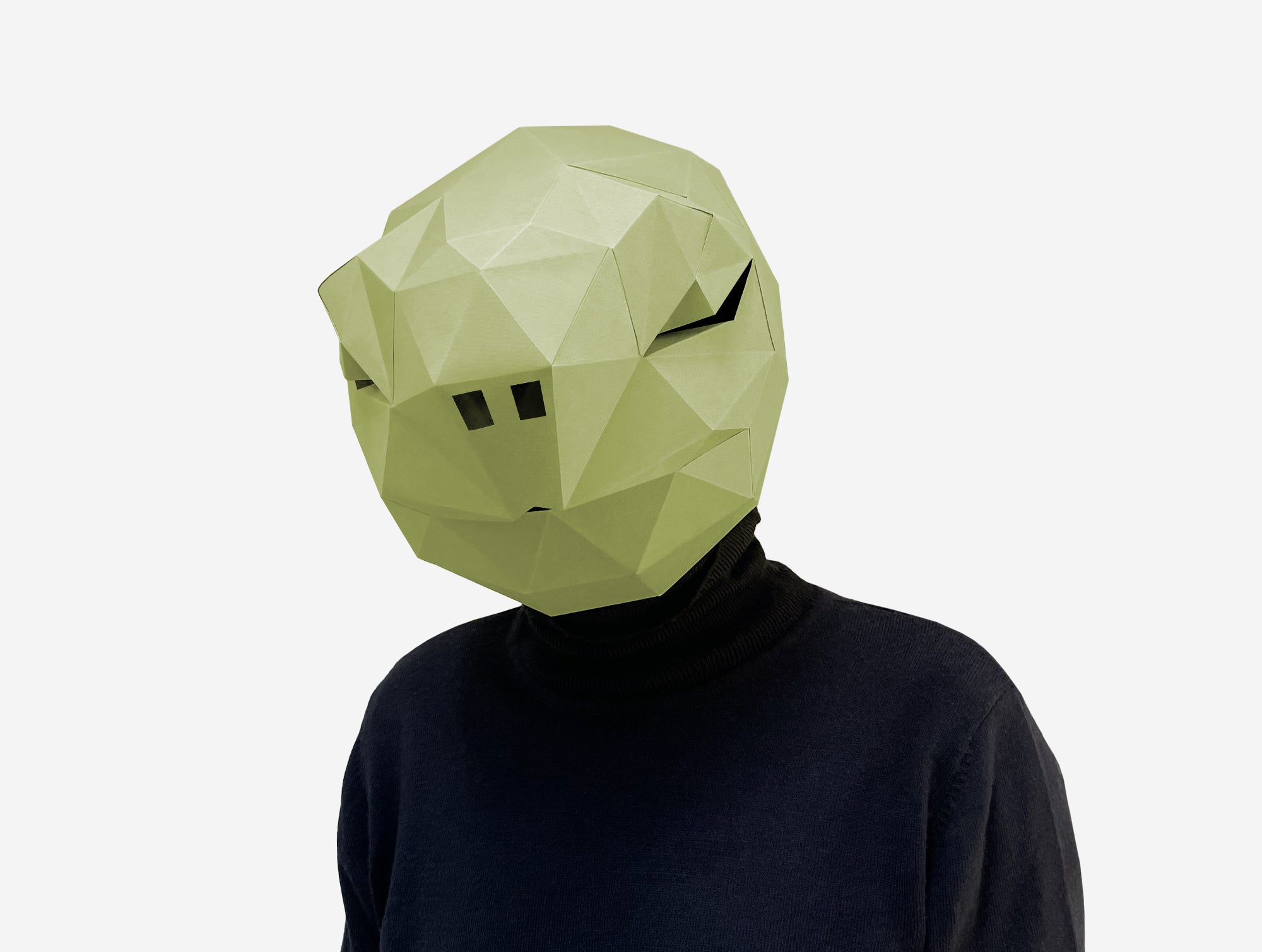 Turtle Mask DIY Paper Mask Template | Lapa Studios