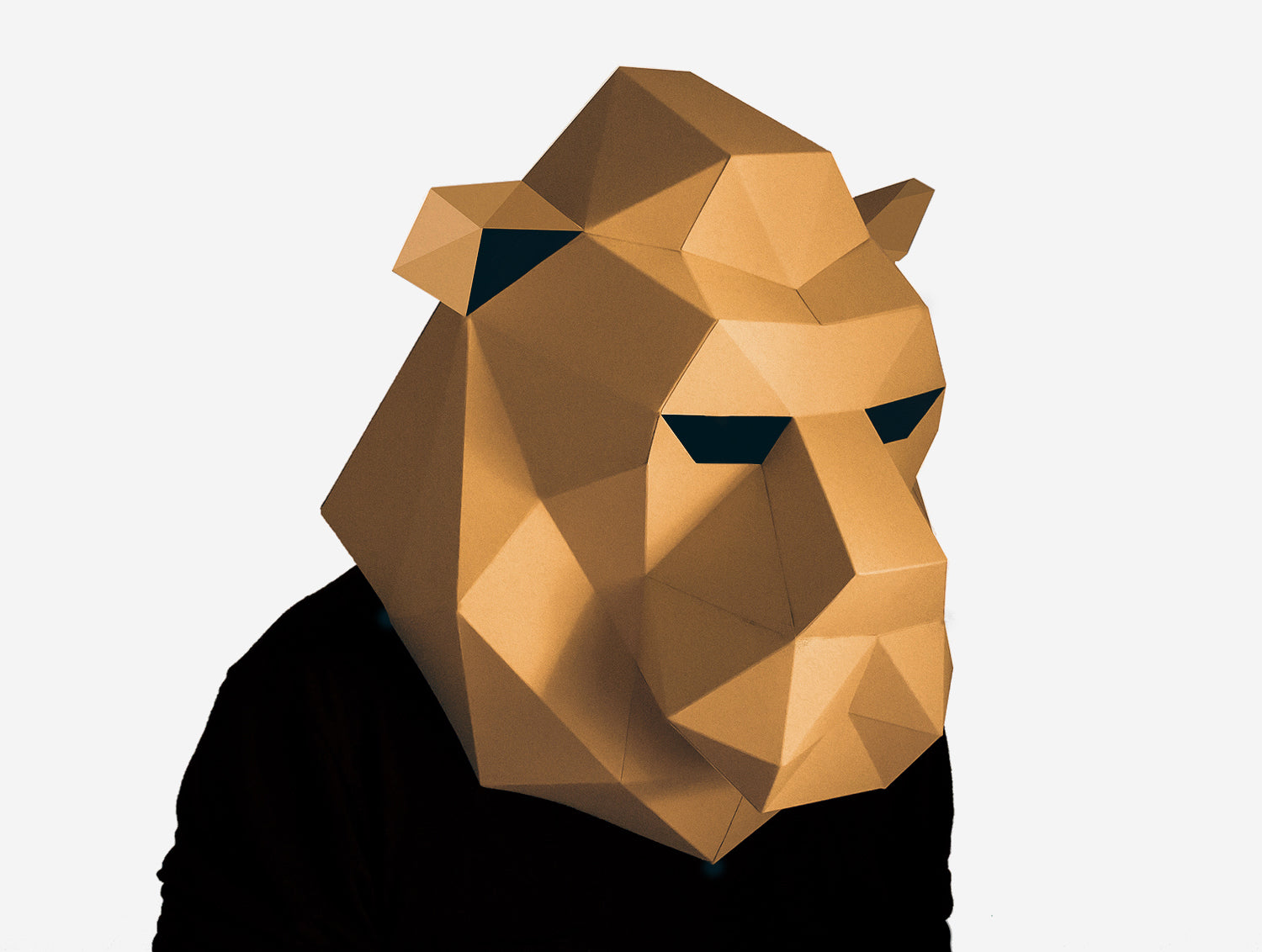 Lion Mask DIY Paper Mask Template – Lapa Studios