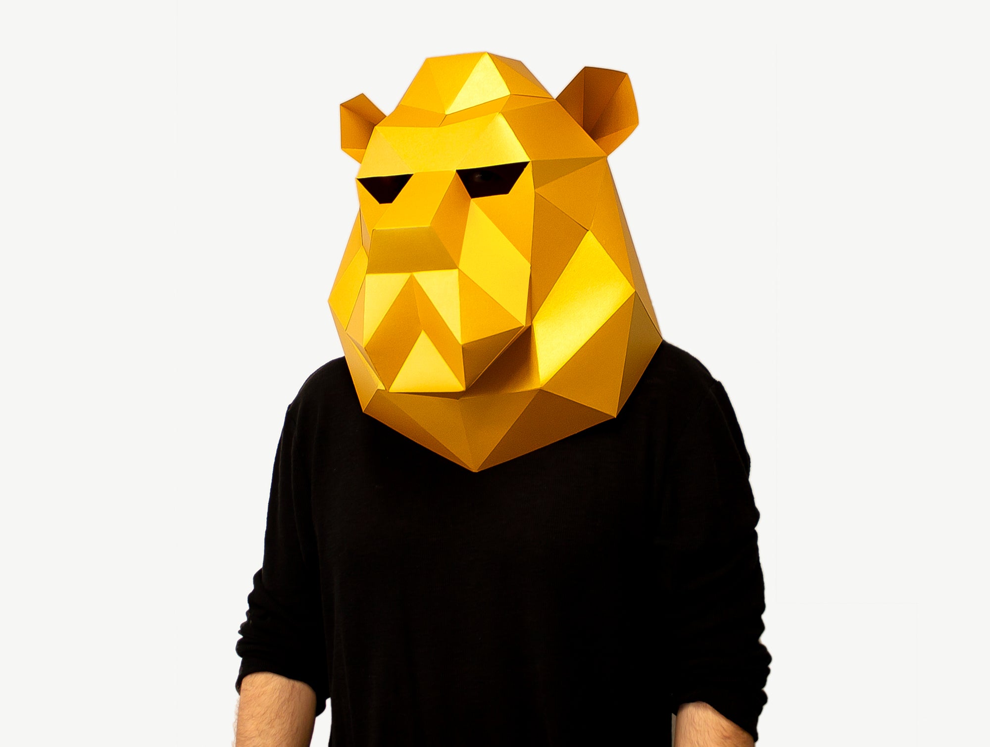 Lion Mask DIY Paper Mask Template – Lapa Studios