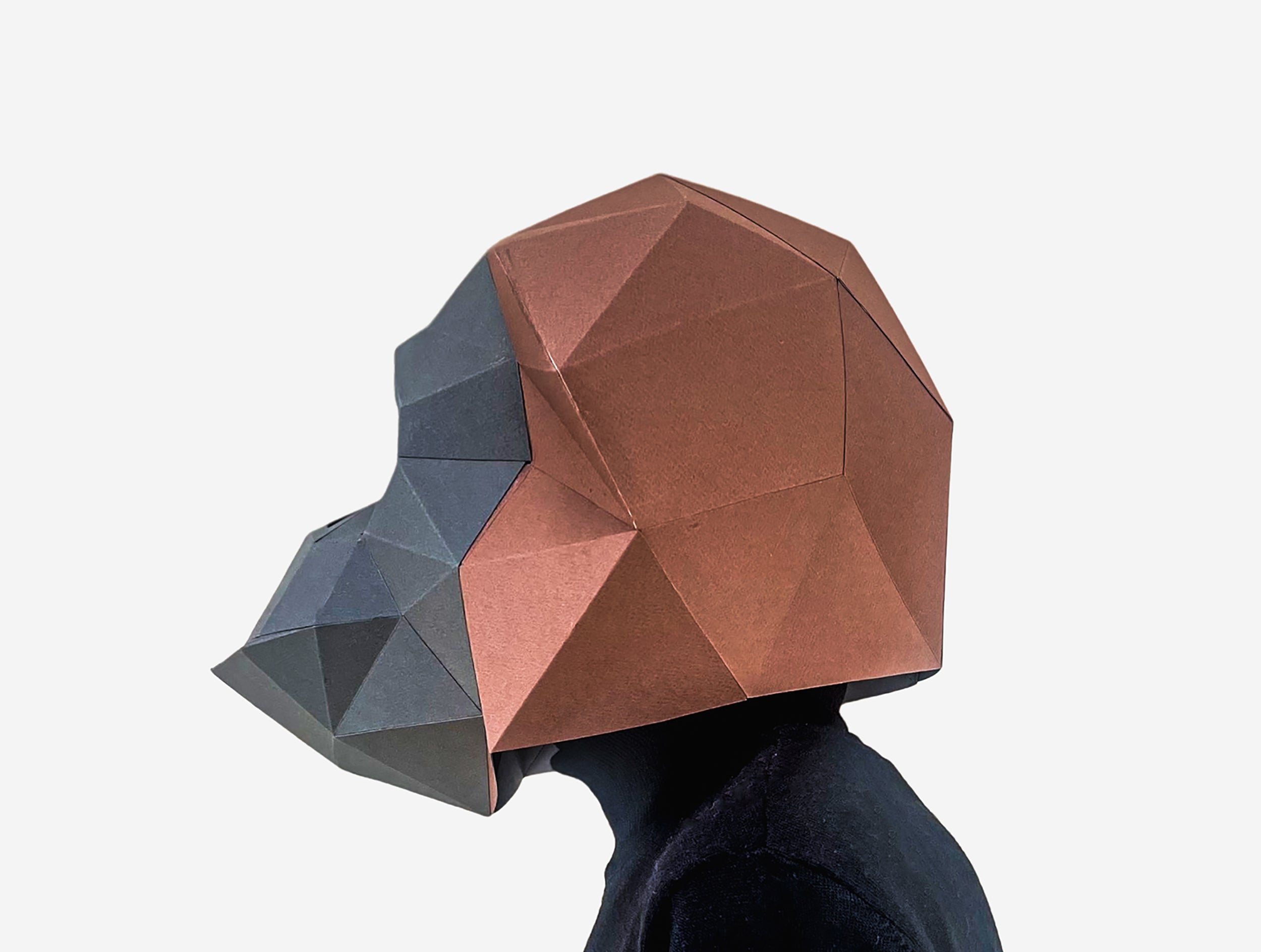 Orangutan Mask DIY Paper Mask Template – Lapa Studios